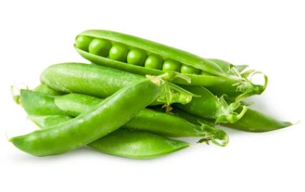 Pea - "Super" Sugar Snap | Bear Mountain Seed Company